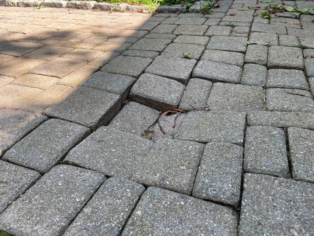 Permeable Paver Maintenance – Goodneighbor Exterior Serivces